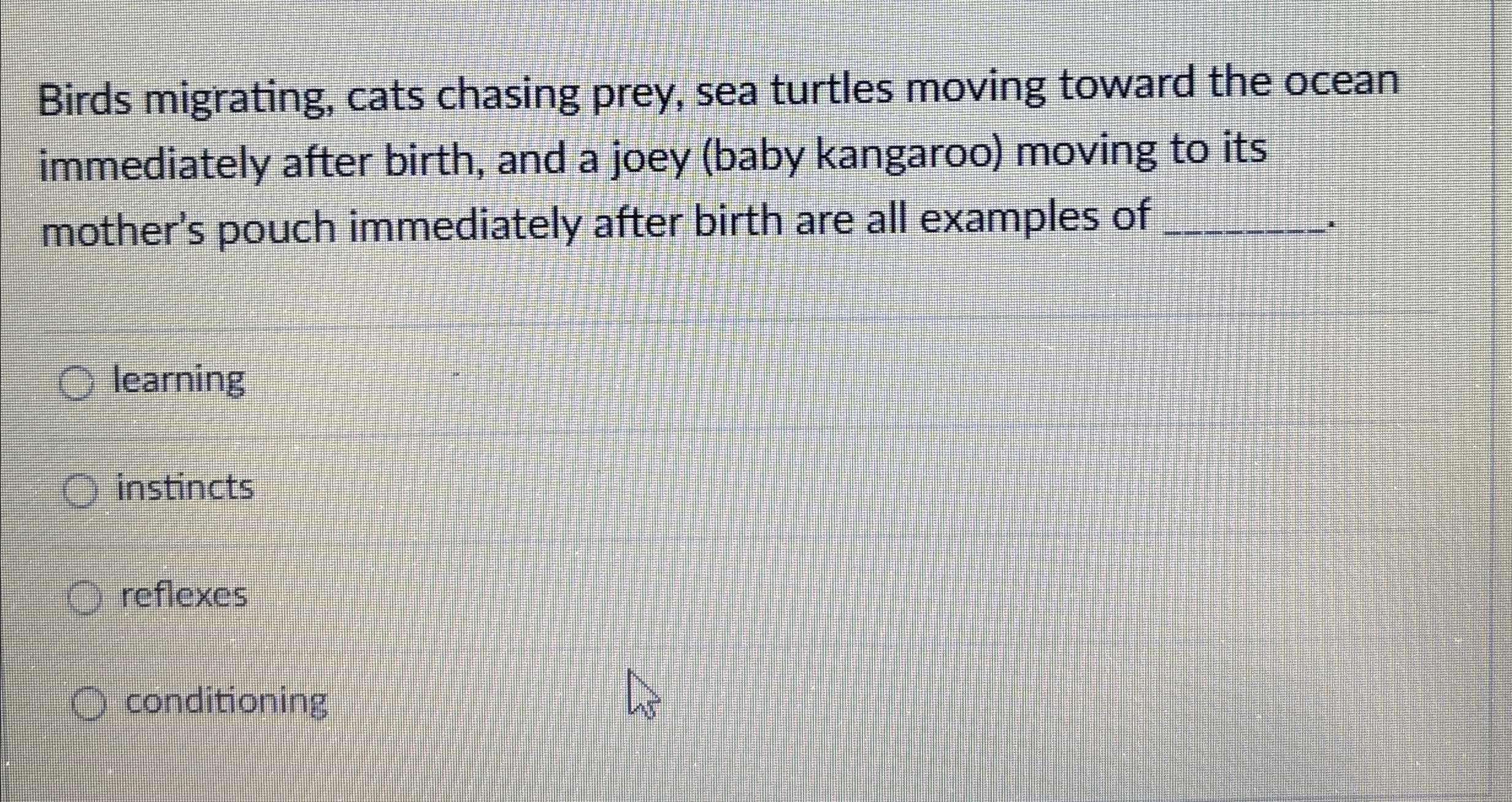 Solved Birds migrating, cats chasing prey, sea turtles | Chegg.com