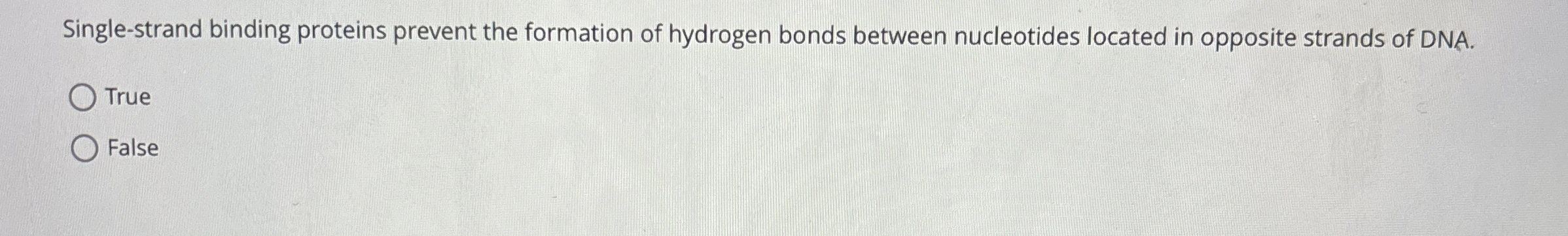 Solved Single-strand binding proteins prevent the formation | Chegg.com