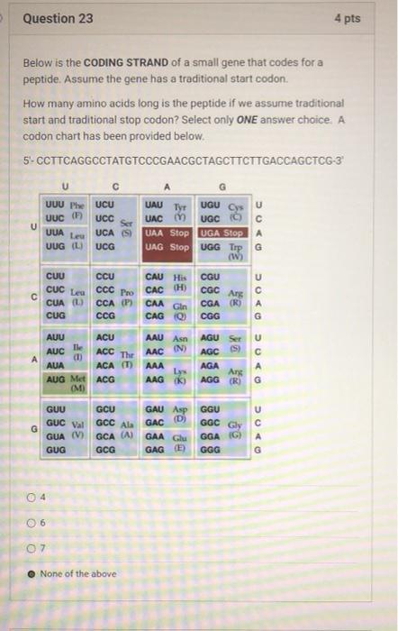 Solved Below is the CODING STRAND of a small gene that codes | Chegg.com