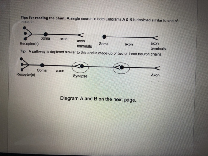 Solved For questions 6 - 10 use the following key to match | Chegg.com