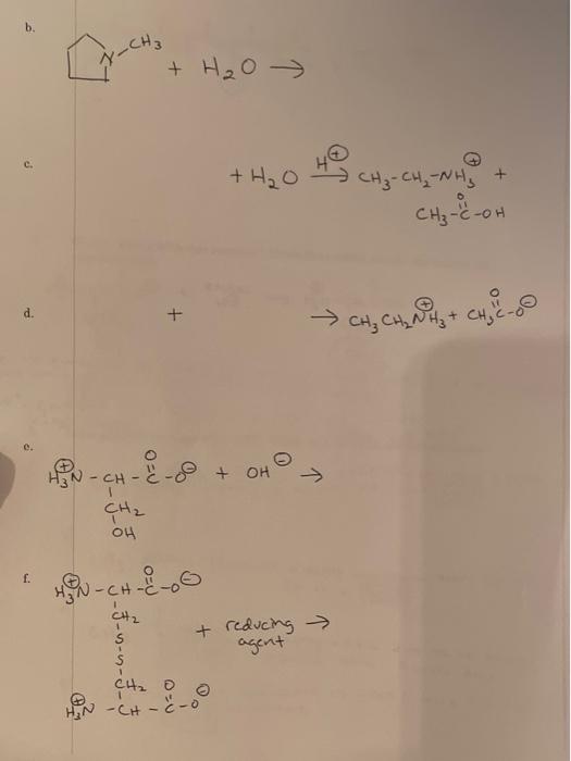 Solved This is for ochem/biochem class: All of the answers | Chegg.com