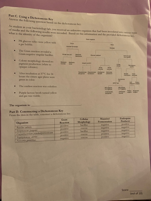 Part C. Using a Dichotomous Key Answer the following | Chegg.com