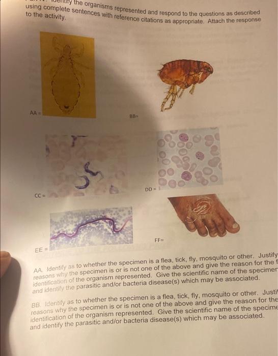 Solved ty the organisms represented and respond to the | Chegg.com