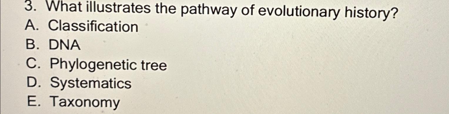 Solved What illustrates the pathway of evolutionary | Chegg.com