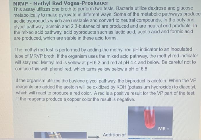 Solved Record your color observations of the MR-VP test. a. | Chegg.com