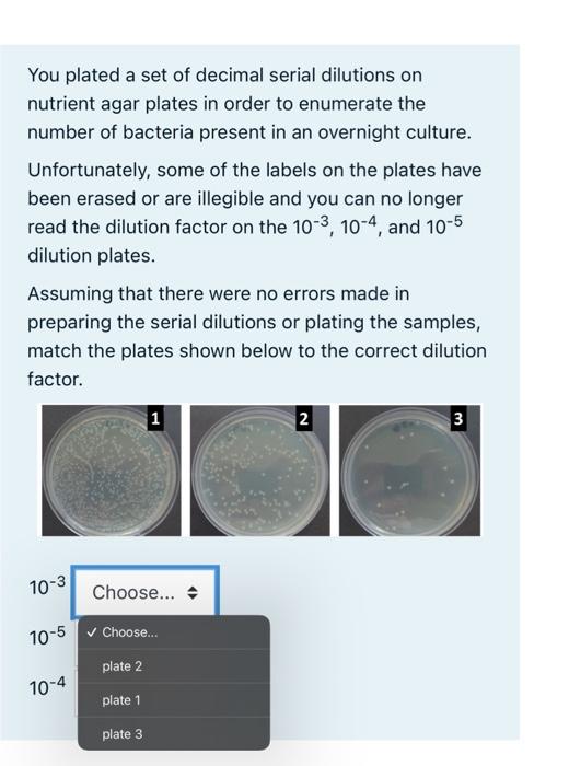 You plated a set of decimal serial dilutions on | Chegg.com