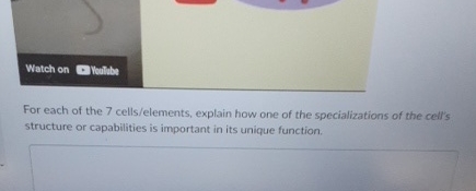 Solved Watch onFor each of the 7 ﻿cells/elements, ﻿explain | Chegg.com