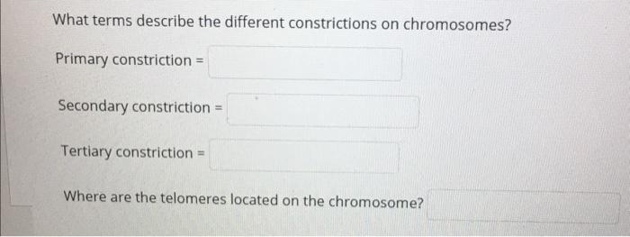 Solved What terms describe the different constrictions on | Chegg.com