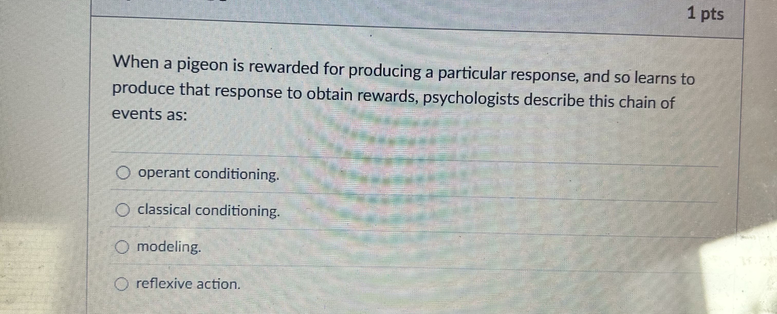 Solved 1 ﻿ptsWhen a pigeon is rewarded for producing a | Chegg.com