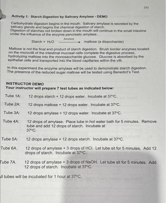 Solved Activity 1: Starch Digestion by Salivary Amylase - | Chegg.com