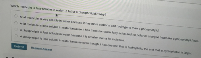 Solved Which molecule is less soluble in water--a fat or a | Chegg.com