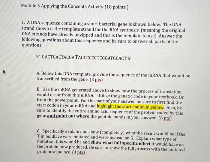 Solved Module 5 Applying the Concepts Activity ( 18 points) | Chegg.com