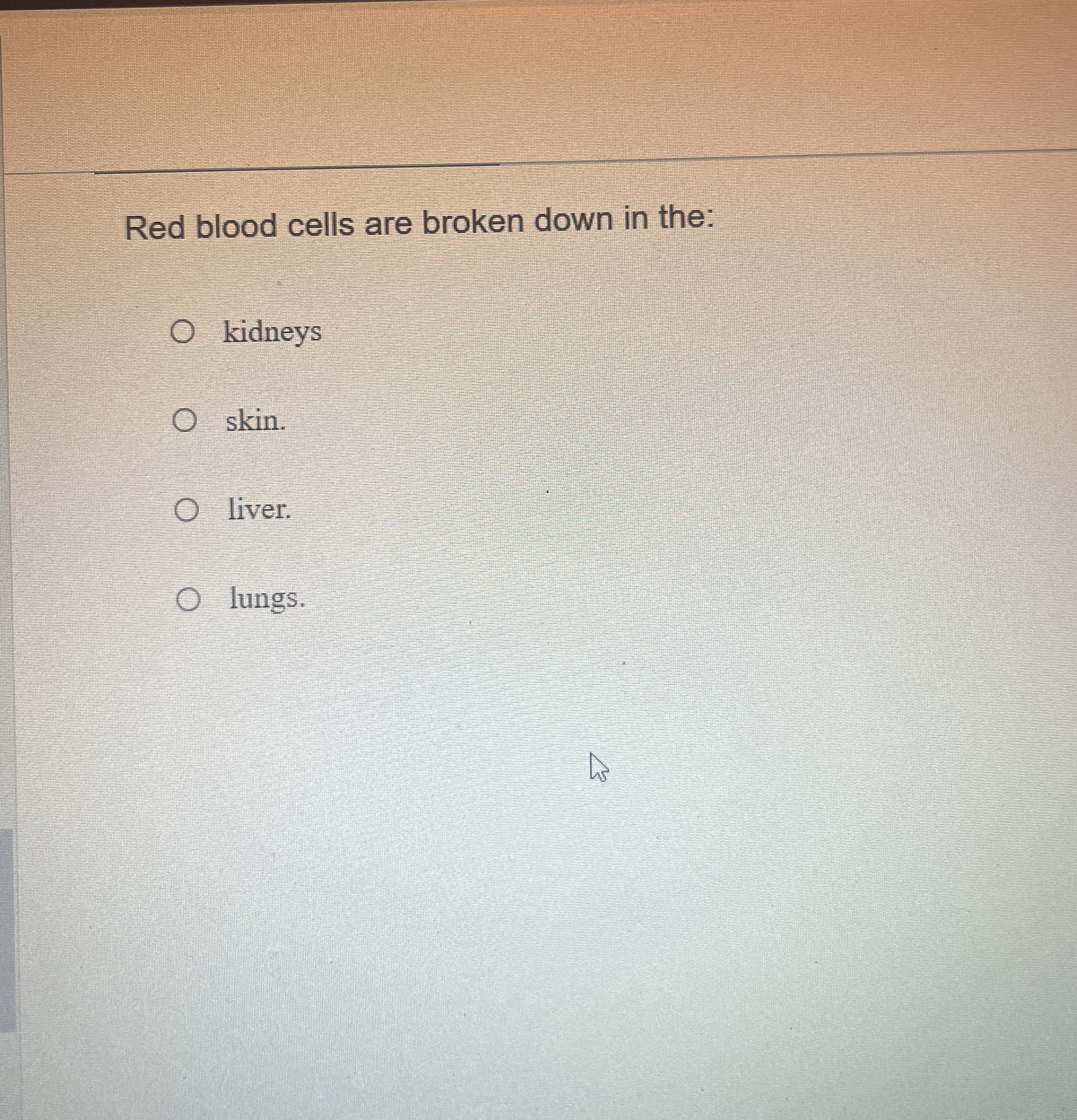 Solved Red blood cells are broken down in | Chegg.com