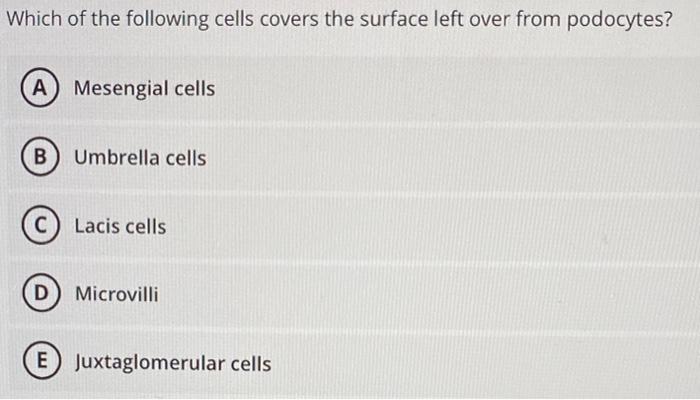 Solved Which of the following cells covers the surface left | Chegg.com