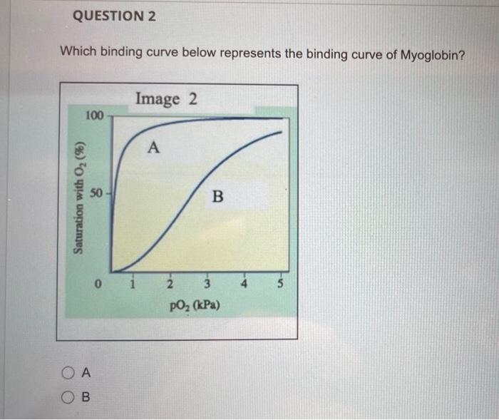 Solved Which binding curve below represents the binding | Chegg.com