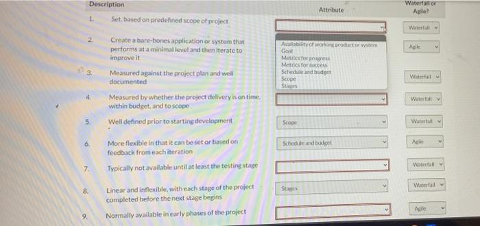 Solved You are a financial analyst working for a dynamic | Chegg.com