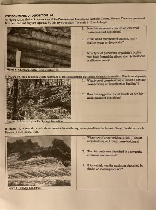 Solved ENVIRONMENTS OF DEPOSITION LAB In Figure 9, | Chegg.com