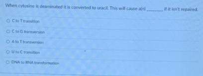 Solved When cytosine is deaminated it is converted to | Chegg.com