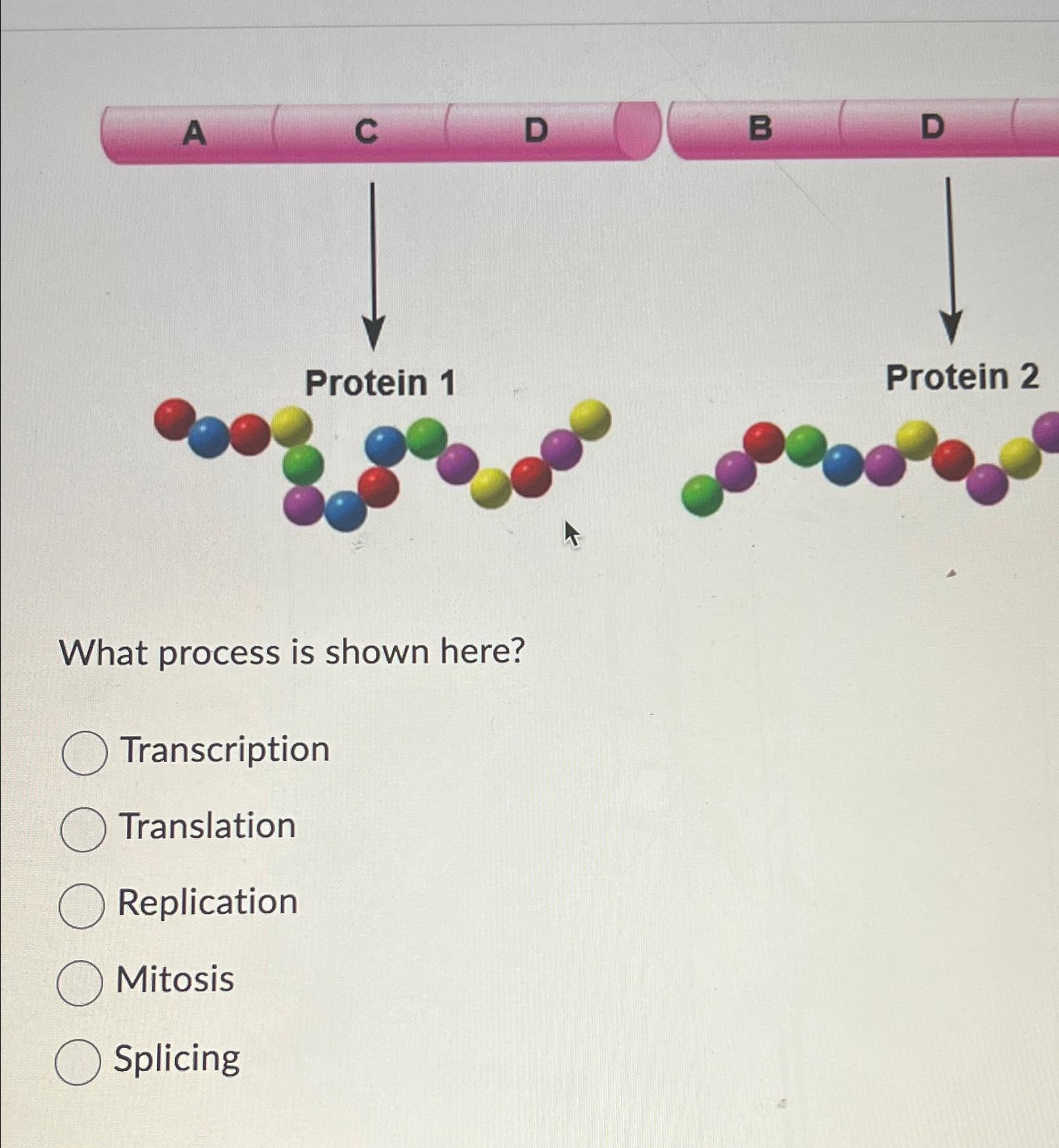 Solved What process is shown | Chegg.com