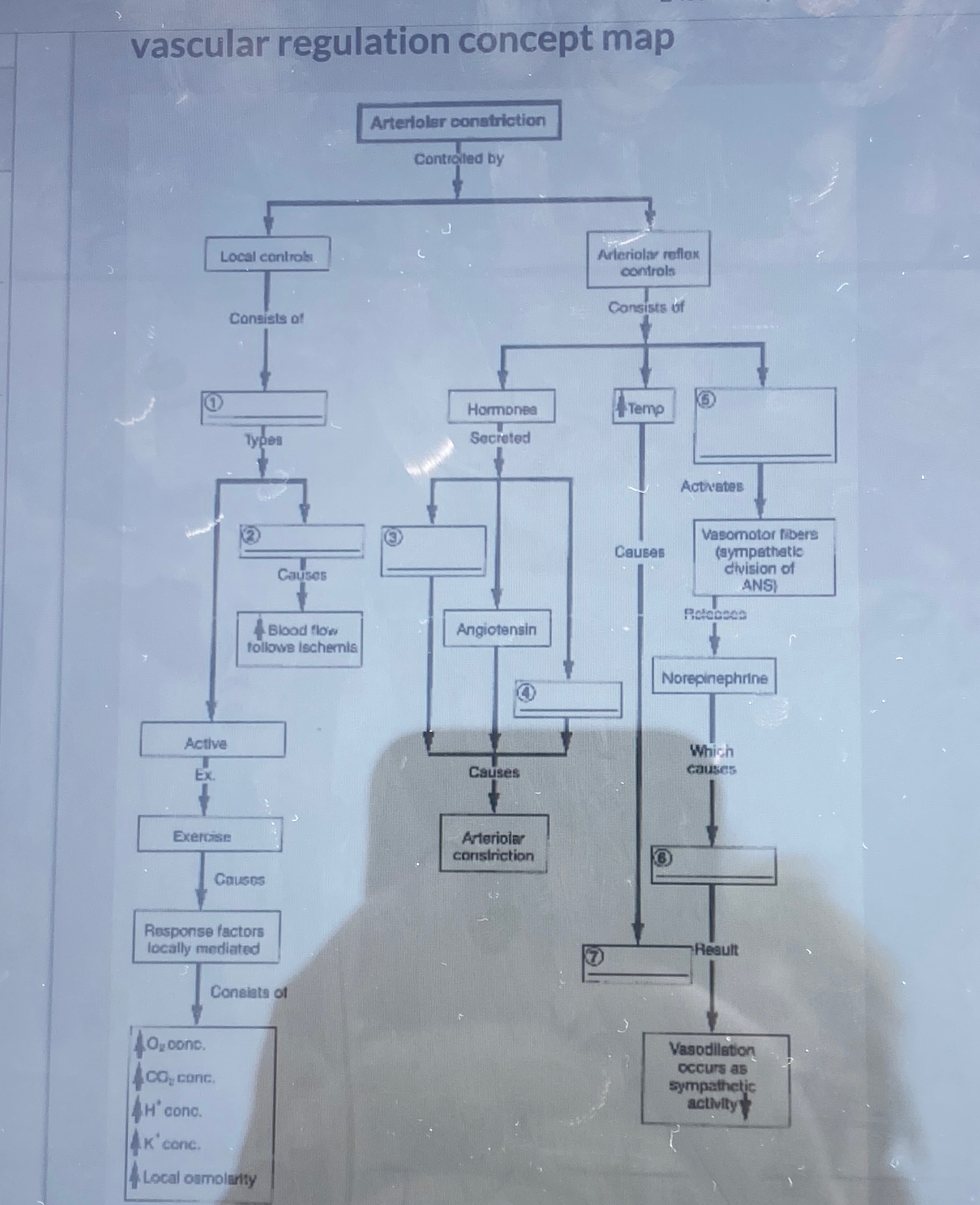 Solved vascular regulation concept map | Chegg.com
