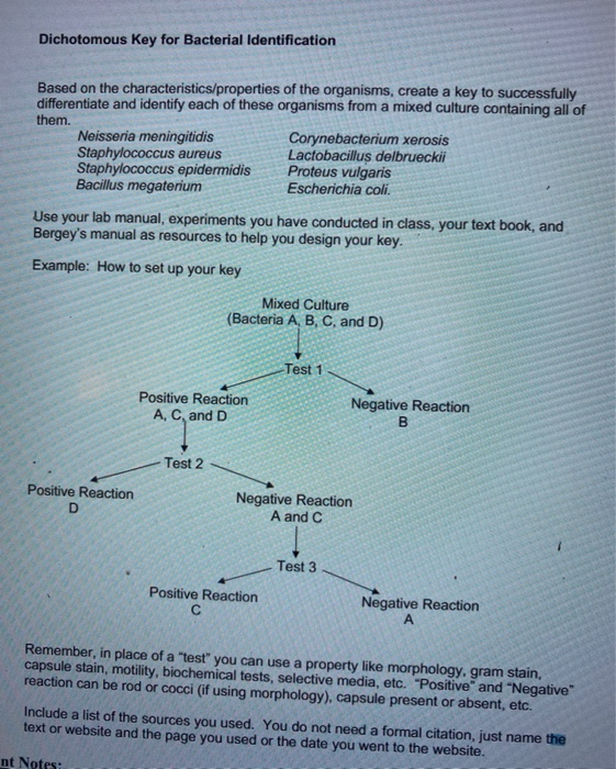 Solved Dichotomous Key for Bacterial Identification Based on | Chegg.com