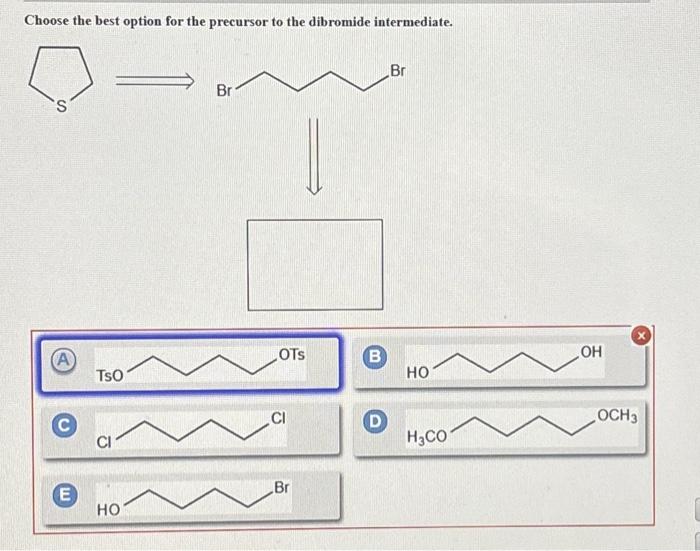 Solved Choose the best option for the precursor to the | Chegg.com