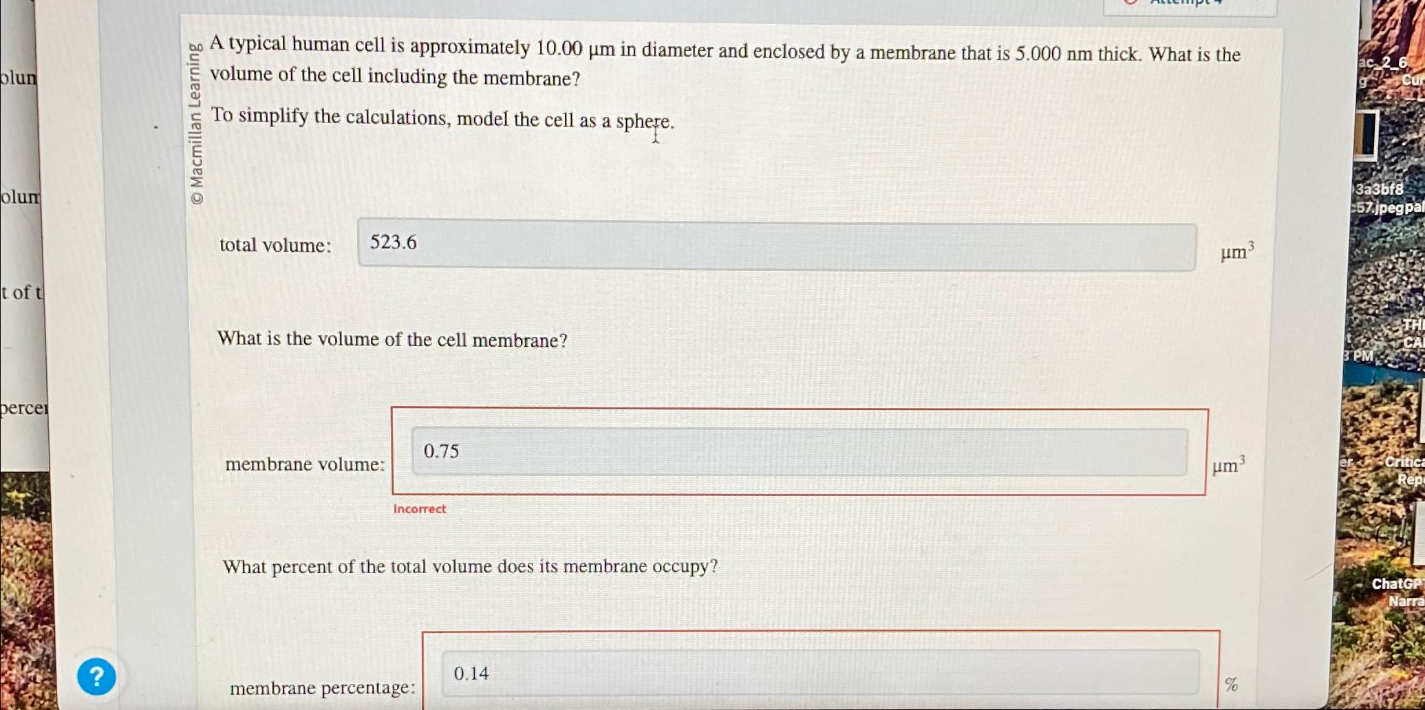 Solved a A typical human cell is approximately 10.00μm ﻿in | Chegg.com