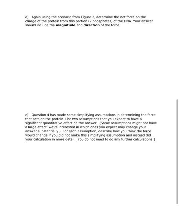 Solved The backbone of DNA is highly negatively charged. | Chegg.com