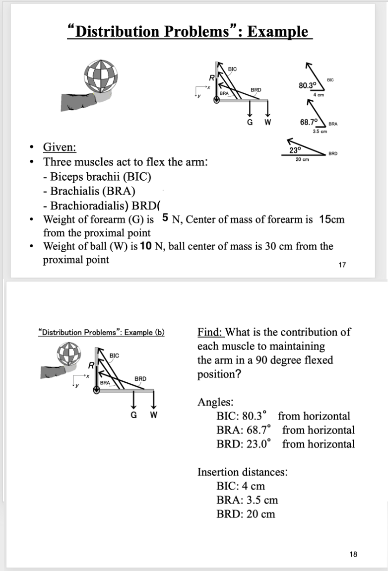 Solved “Distribution Problems”: ExampleGiven:Three muscles | Chegg.com