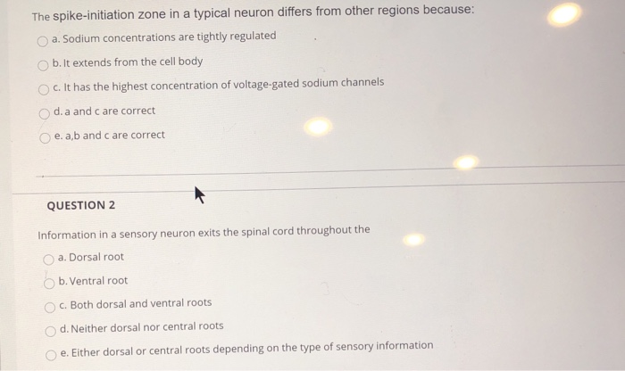 Solved The spike-initiation zone in a typical neuron differs | Chegg.com
