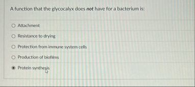 Solved A function that the glycocalyx does not have for a | Chegg.com