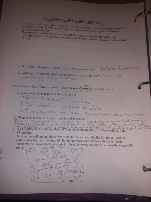 Solved CELL TRANSPORT WORKSHEET Cont: What type of cellular | Chegg.com