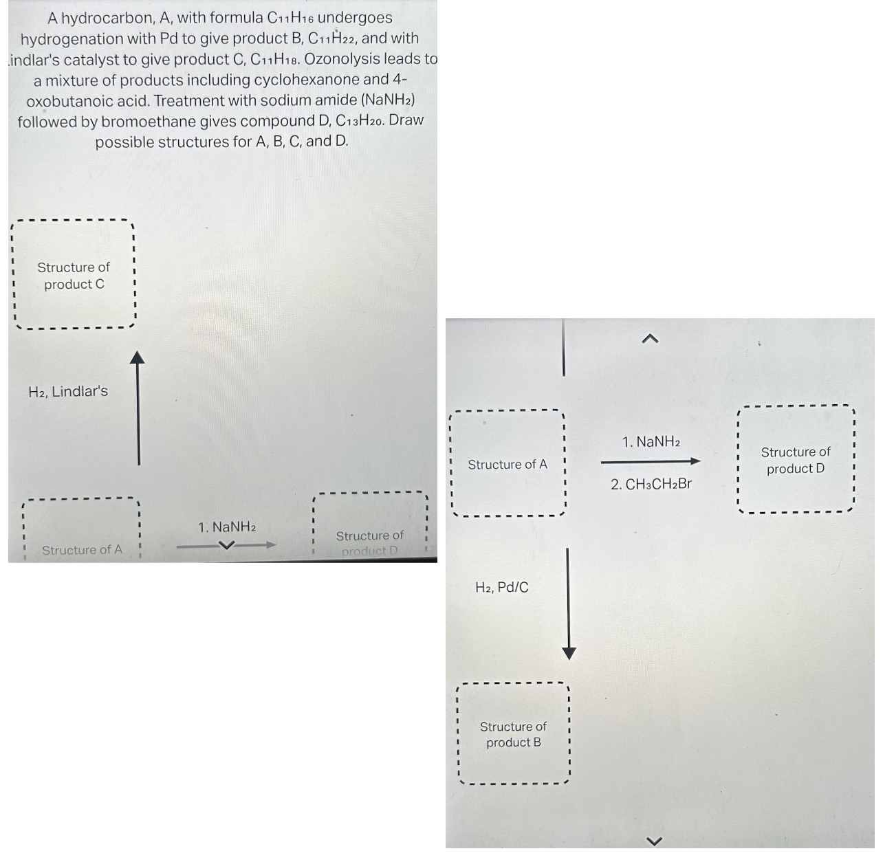 Solved A hydrocarbon, A, ﻿with formula C11H16 ﻿undergoes | Chegg.com