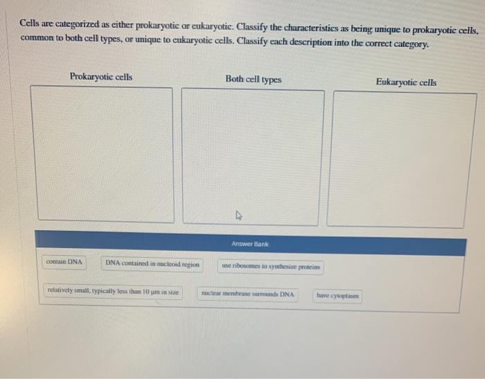 Solved Use The Mutations Interactive To Determine Which