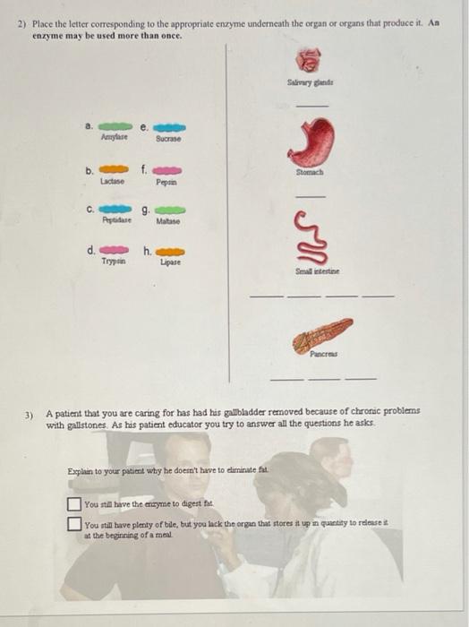 Solved 2) Place the letter corresponding to the appropriate | Chegg.com