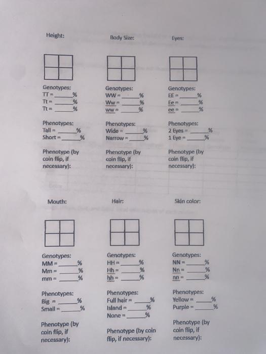 Solved Minion Genetics Lab You will need a coin, colored | Chegg.com