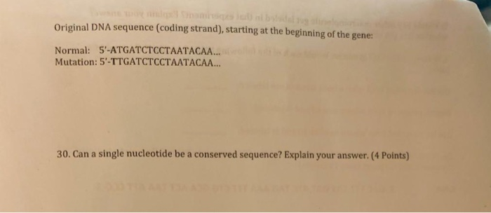 Solved Original DNA sequence (coding strand), starting at | Chegg.com