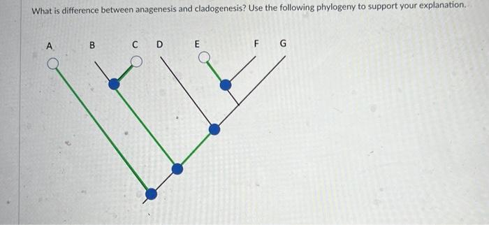 Solved What is difference between anagenesis and | Chegg.com