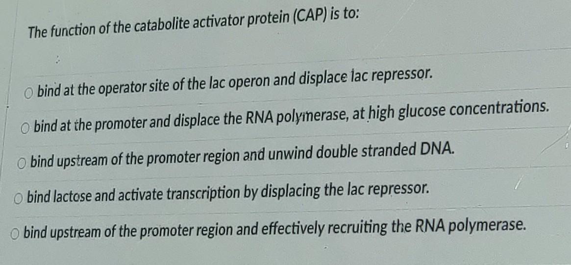 Solved The function of the catabolite activator protein | Chegg.com