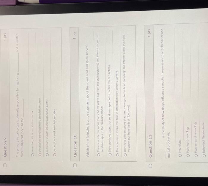 Solved D Question 9 The primary visual cortex is primarily | Chegg.com
