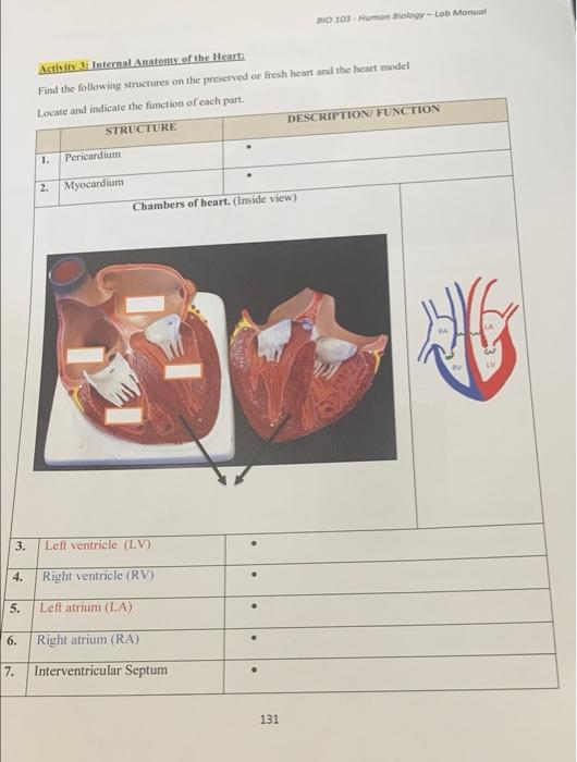 Solved NO 102-Human Biology - Lab Manual Activity 3: | Chegg.com