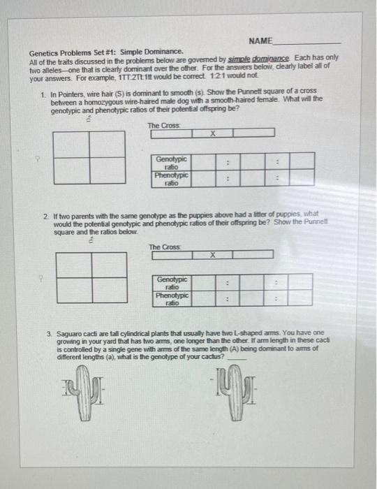 Solved NAME Genetics Problems Set #1: Simple Dominance. All | Chegg.com