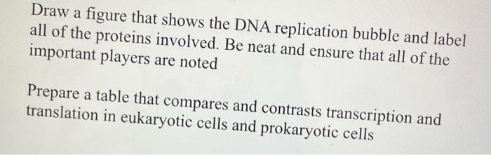 Draw a figure that shows the DNA replication bubble | Chegg.com