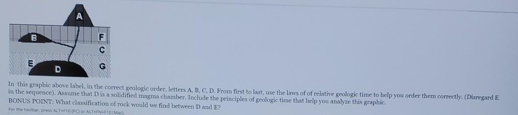 Solved B F С E D In this graphic above label, in the correct | Chegg.com