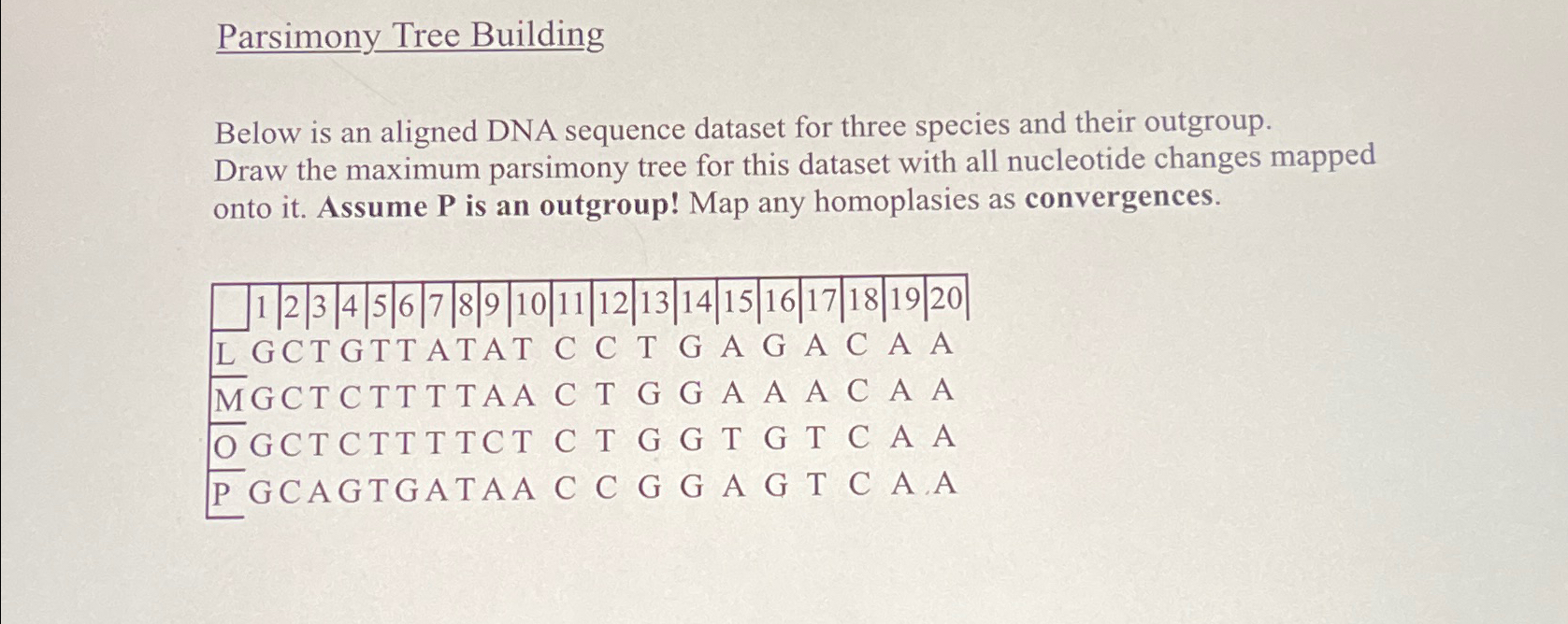 Solved Parsimony Tree BuildingBelow is an aligned DNA | Chegg.com