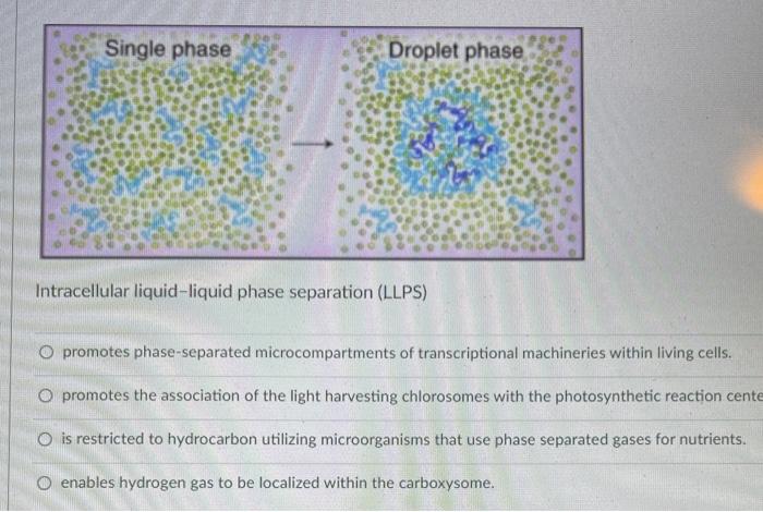 Solved Single phase Droplet phase Intracellular | Chegg.com