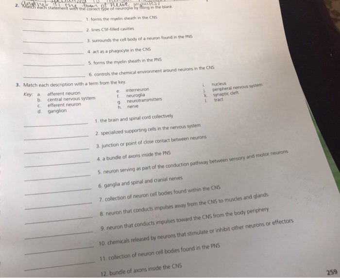 Solved 2. Match éach statement with the correct fype of | Chegg.com