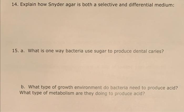 Solved 14. Explain how Snyder agar is both a selective and | Chegg.com