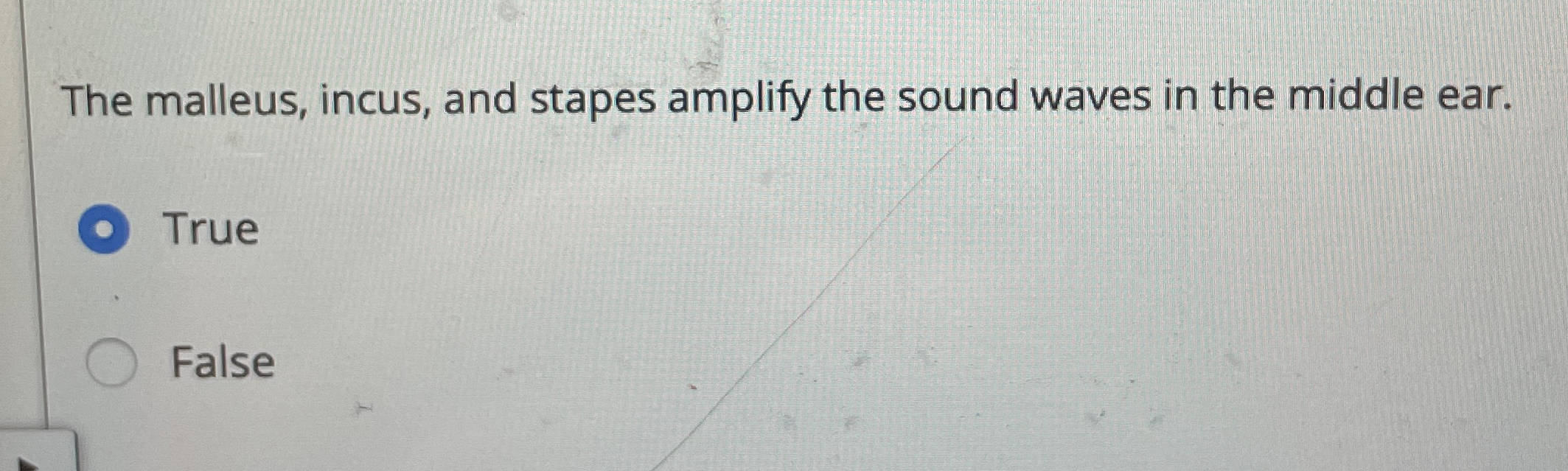 Solved The malleus, incus, and stapes amplify the sound | Chegg.com