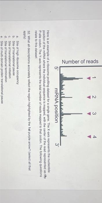 Solved Here is an example of a ribosome profiling dataset | Chegg.com